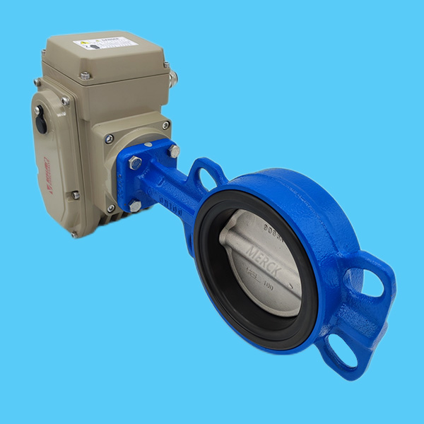 D971X-16C电动蝶阀